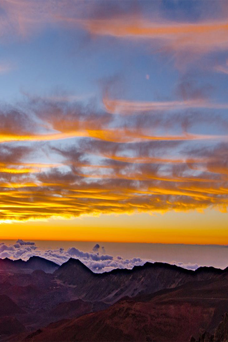 Repentance and Transformation – Wellington Boone Ministries